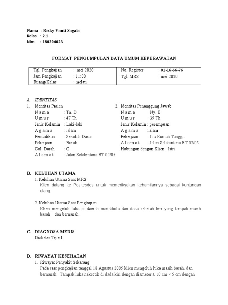 Format Pengumpulan Data Umum Keperawatan | PDF