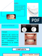 Diagrama de Posselt en Oclusión | PDF | Sistema musculoesquelético ...