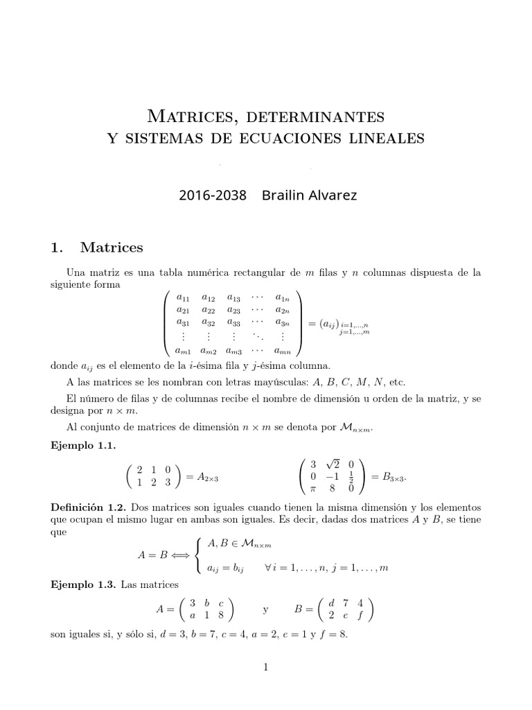 Sistemas de Ecuaciones Lineales y Matrices | PDF | Matriz (Matemáticas) | Determinante