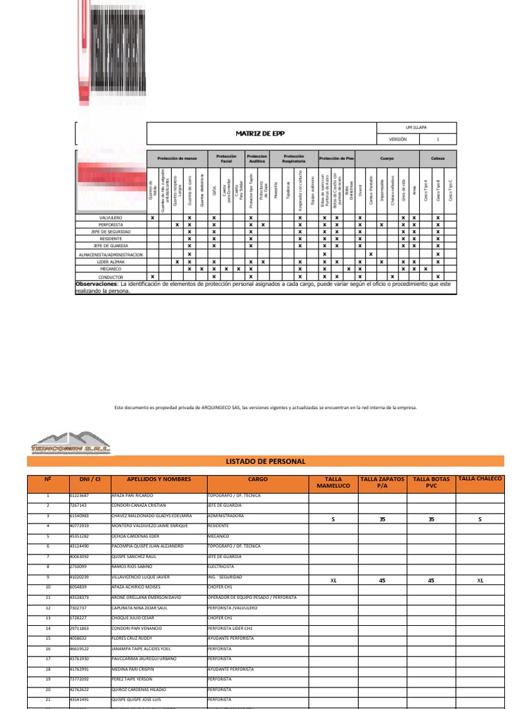 Matriz de Epps y Requerimiento Teincomin SRL | PDF | Ropa | Naturaleza