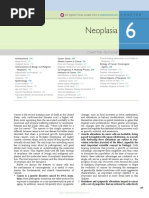 Balt International Product Catalogue | PDF | Cardiovascular Diseases ...