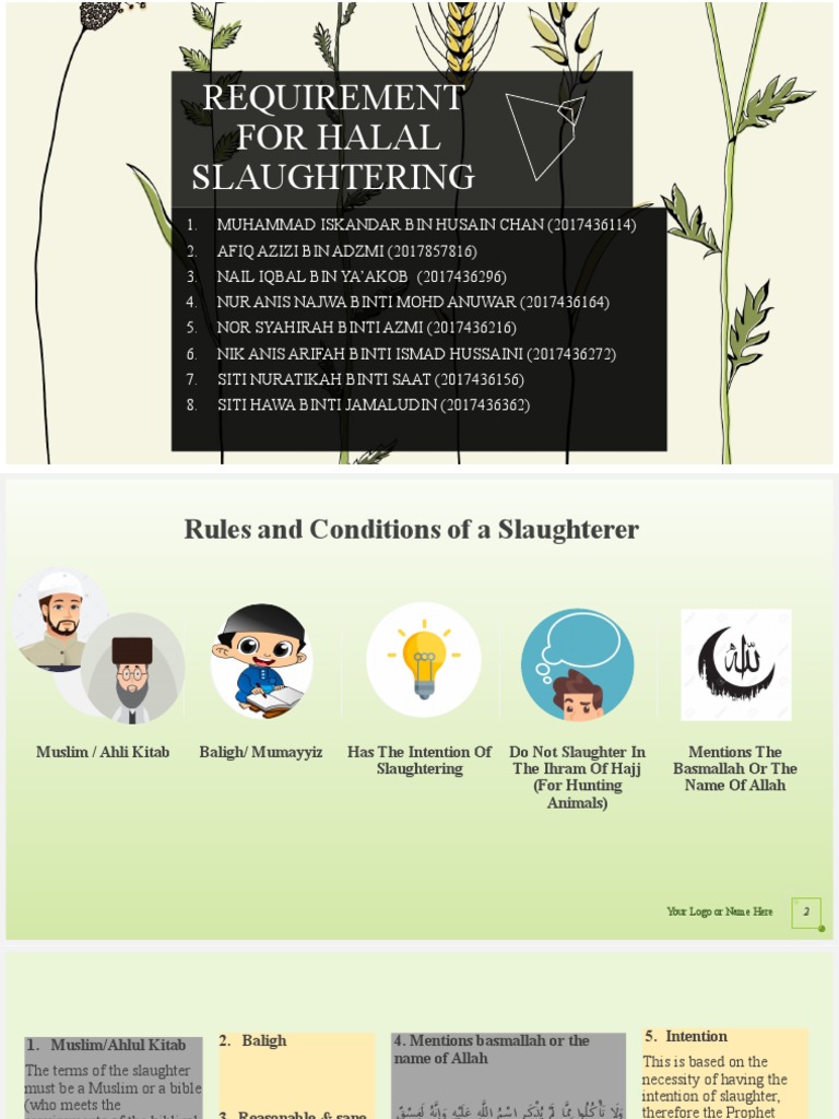 Halal Slaughtering Requirements Guide | PDF | Animal Slaughter | Torah