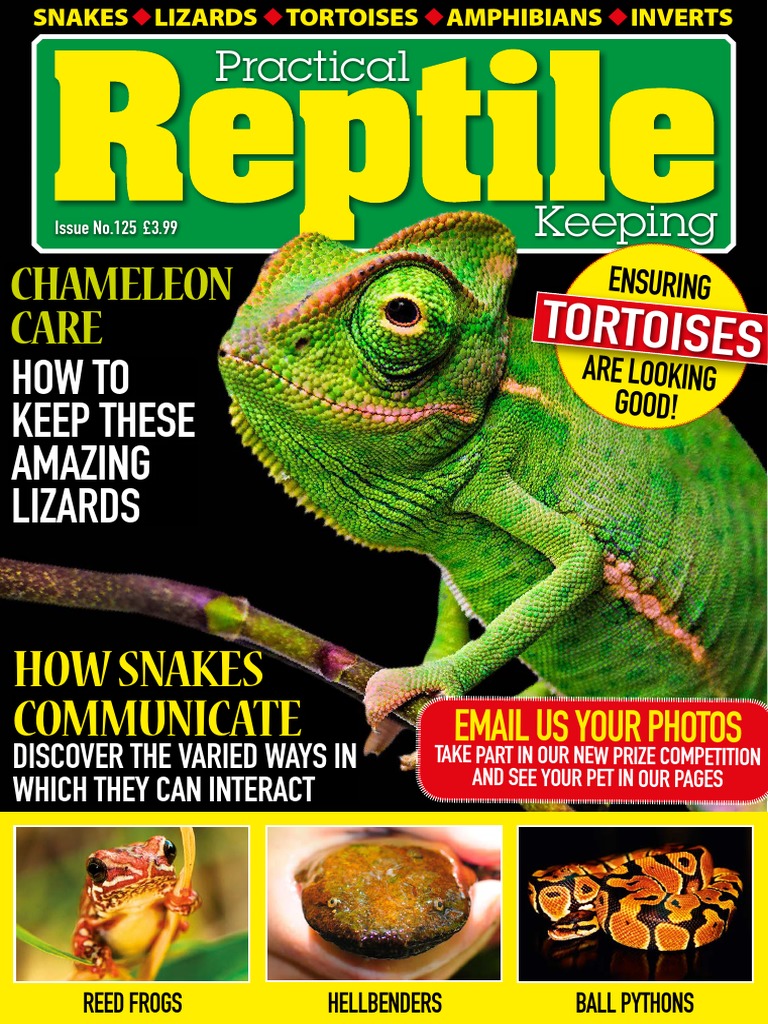 Practical Reptile Keeping - Issue 125 - May 2020 | PDF | Organisms | Nature