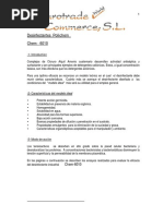 Modelo Carta Recall | PDF