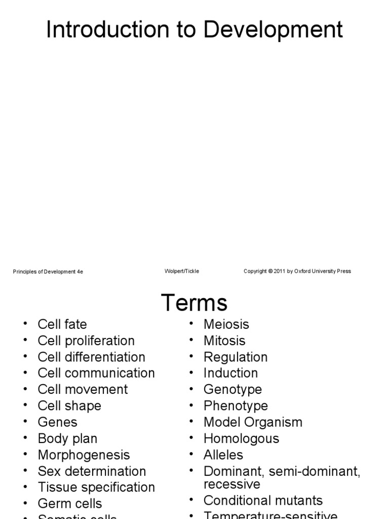 Introduction To Development: Principles of Development 4e | PDF ...