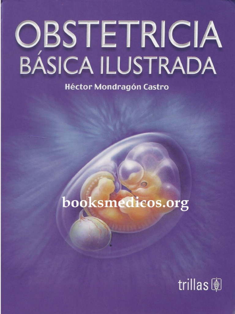 Obstetricia Basica Ilustrada Hector Mondragon PDF | PDF