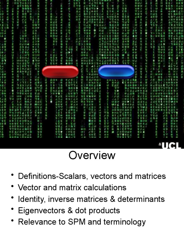 Linear Algebra and Matrices: Methods For Dummies 20 October, 2010 ...