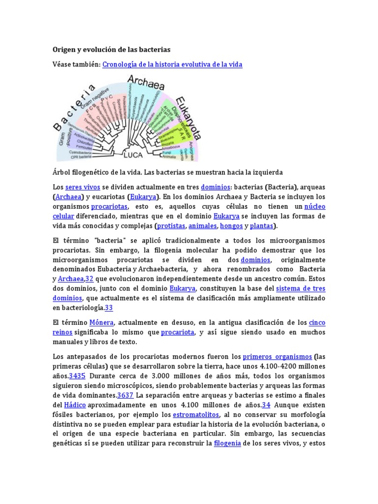 Origen y evolución de las bacterias | PDF | Las bacterias | Archaea