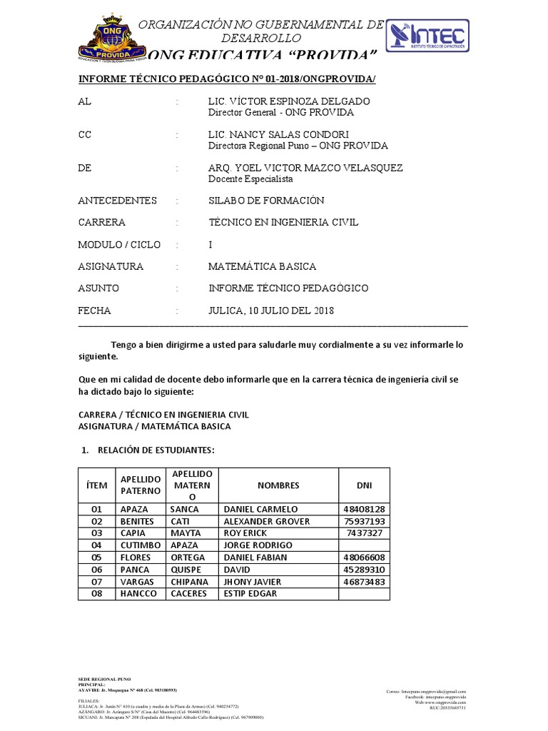 Modelo de Informe - ONG PROVIDA | PDF | Aritmética | Números