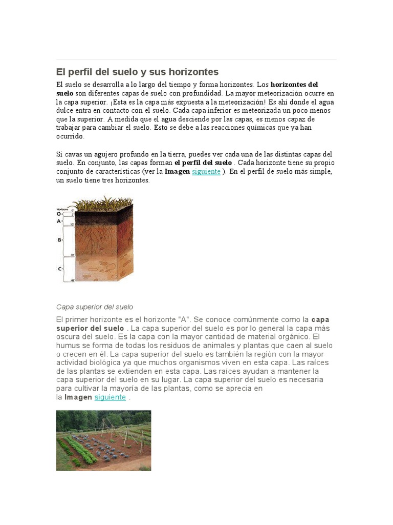 El Perfil Del Suelo y Sus Horizontes | PDF | Meteorización | Suelo
