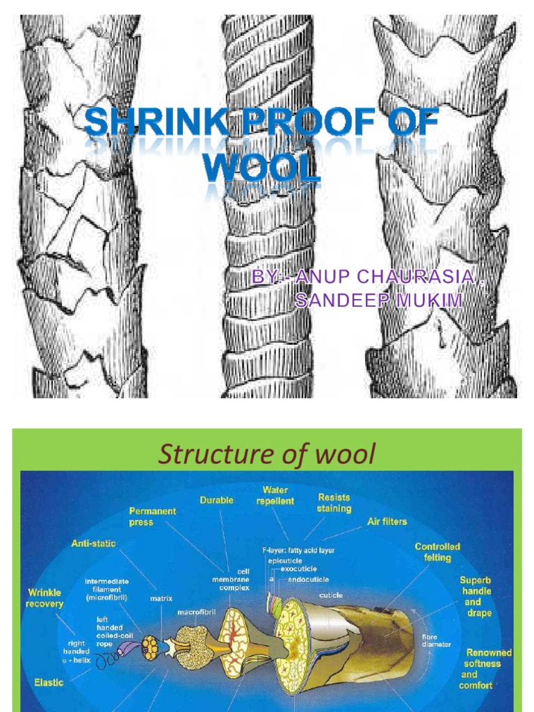 Wool Shrinkage and Hercosett Insights | PDF | Wool | Textiles
