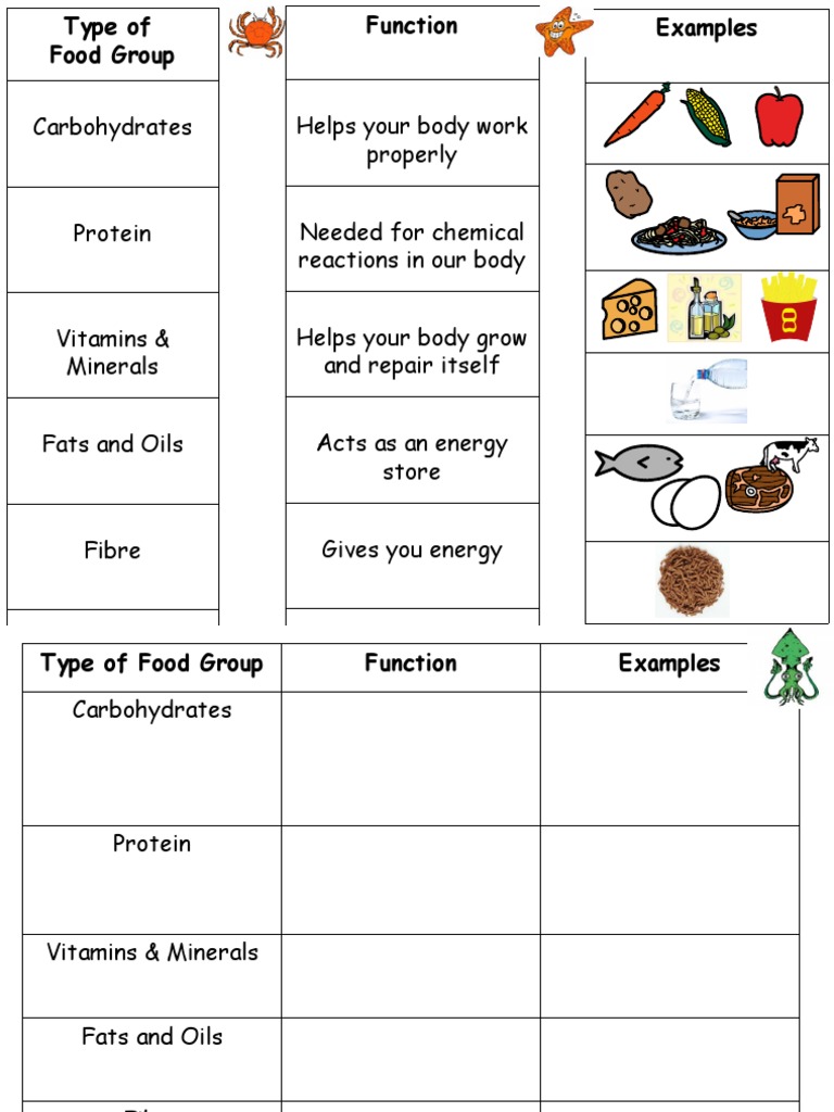Essential Functions of Food Groups | PDF