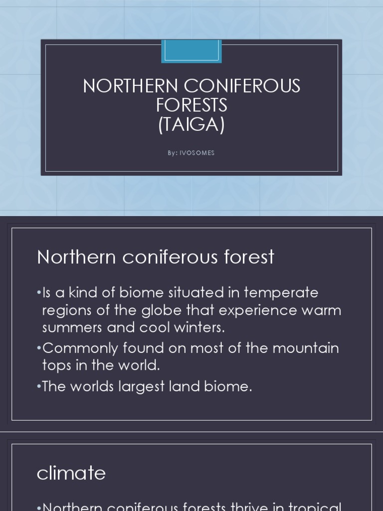 Northern Coniferous Forests Guide | PDF
