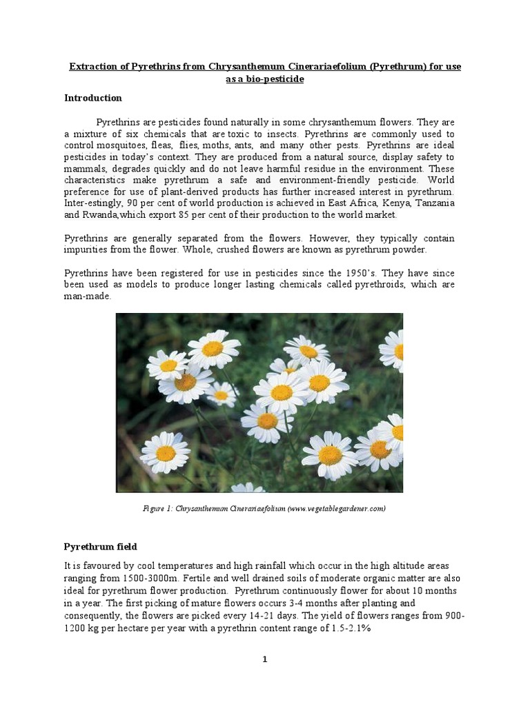 Extraction of Pyrethrins from Chrysanthemum Flowers for Biopesticide ...