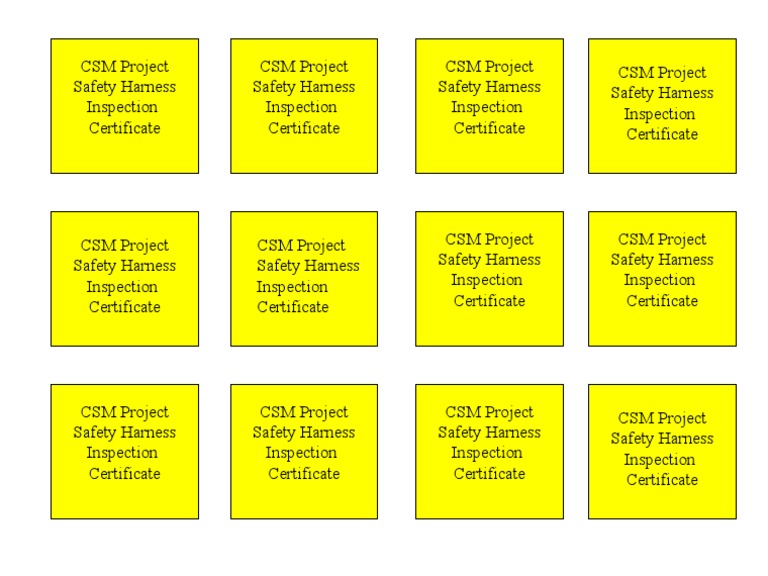 CSM Safety Harness Inspection Certificate | PDF | Technology & Engineering