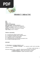 Proiect Didactic Planul de Idei | PDF