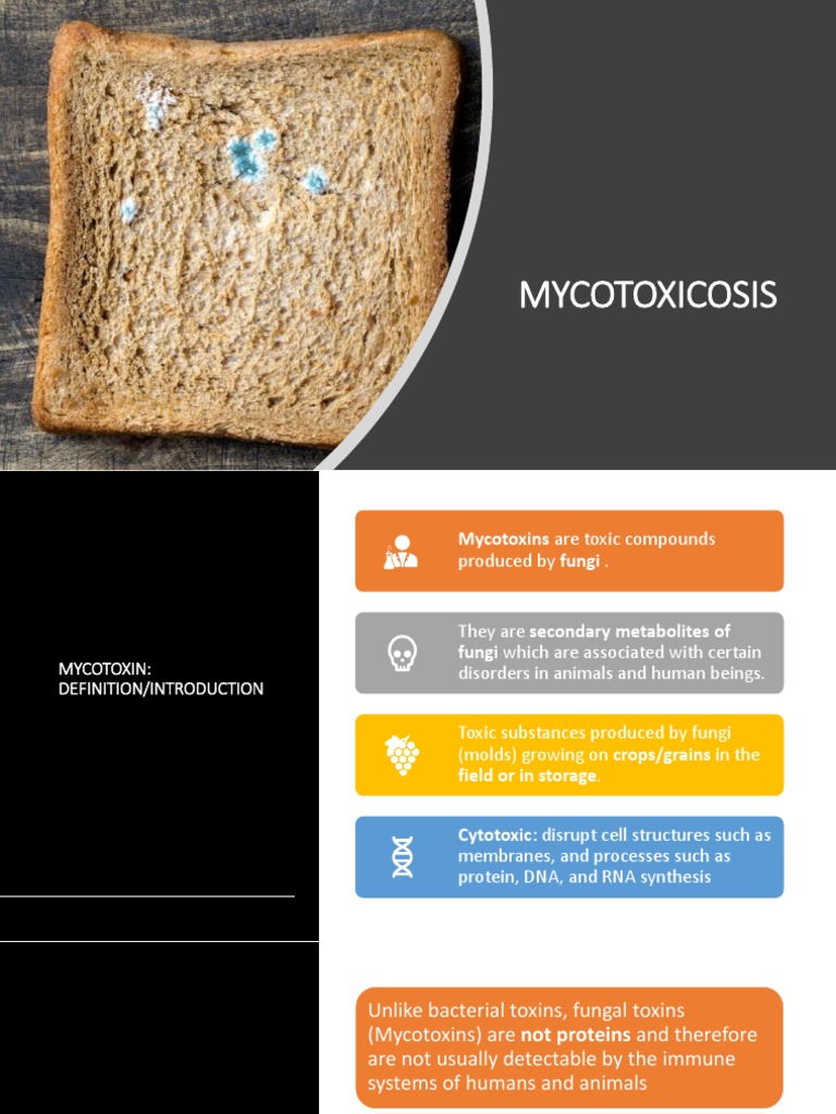 21 Mycotoxicosis | PDF | Mycotoxin | Fungus
