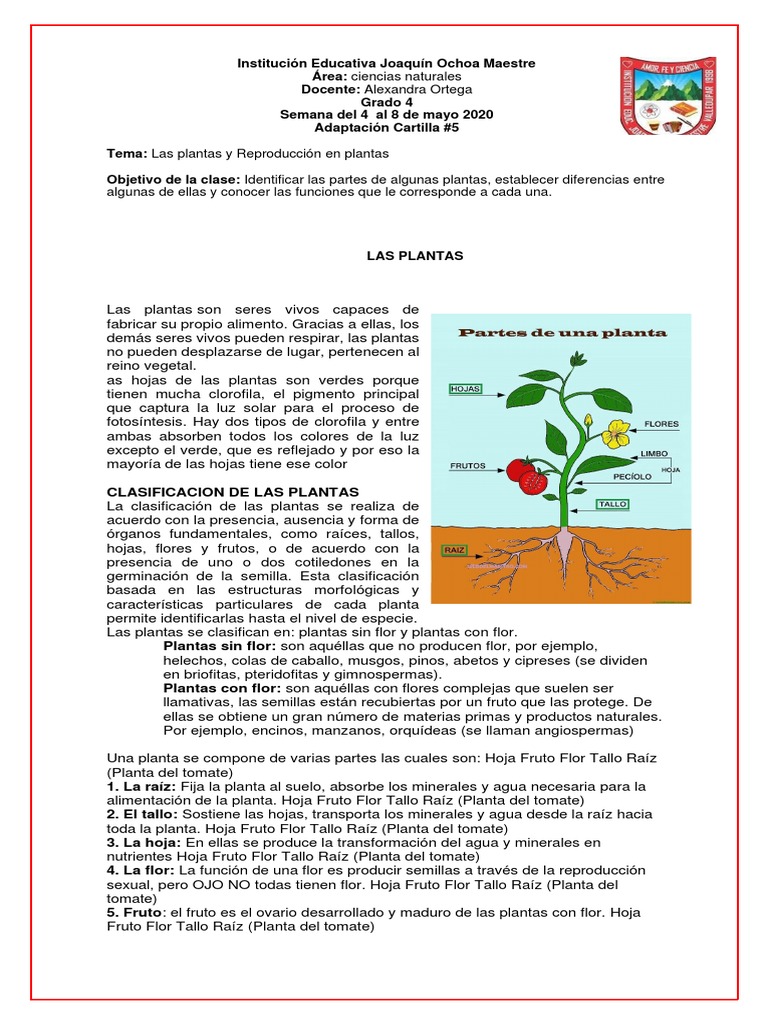 actividad 3 plantas y reproduccion en plantas | Plantas | Flores