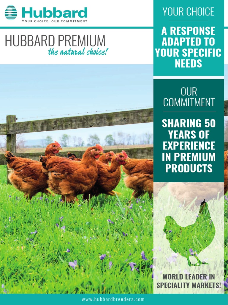 Hubbard Chicken Breeds and Genetics | PDF | Genetics | Biology