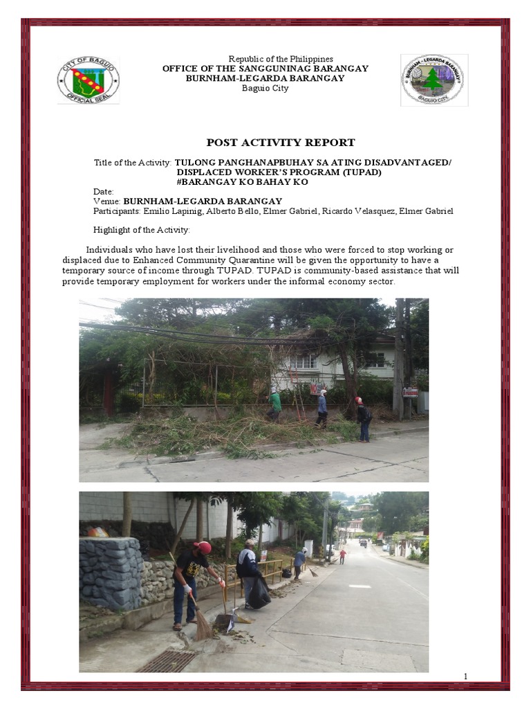 Post Activity Report: Office of The Sangguninag Barangay Burnham ...