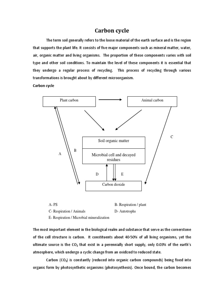 17 - 18 Carbon Cycle - Humus Formation PDF | PDF | Decomposition ...
