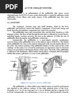 Komi Classification of Bile Duct Cysts | PDF | Exocrine System ...