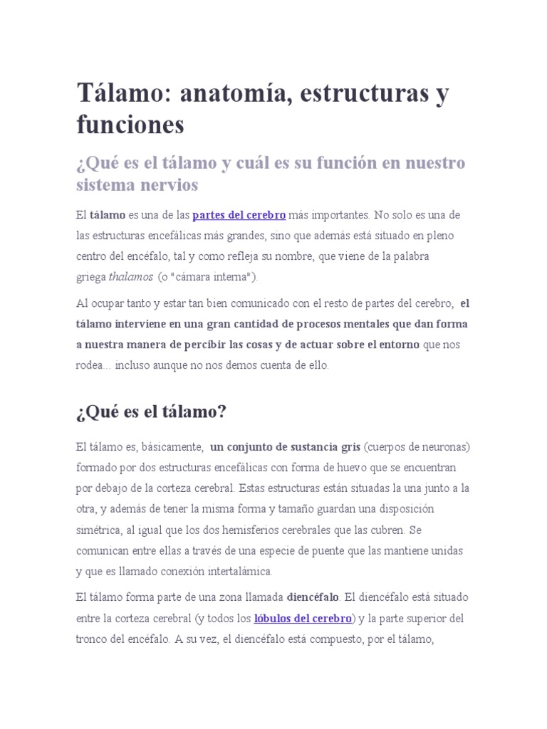 Talamo | PDF | Tálamo | Cerebro