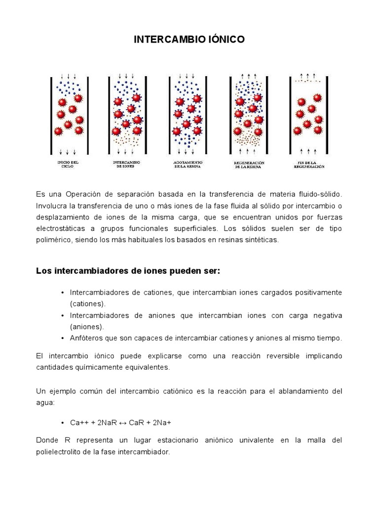 El proceso de intercambio iónico: una técnica clave para la ...