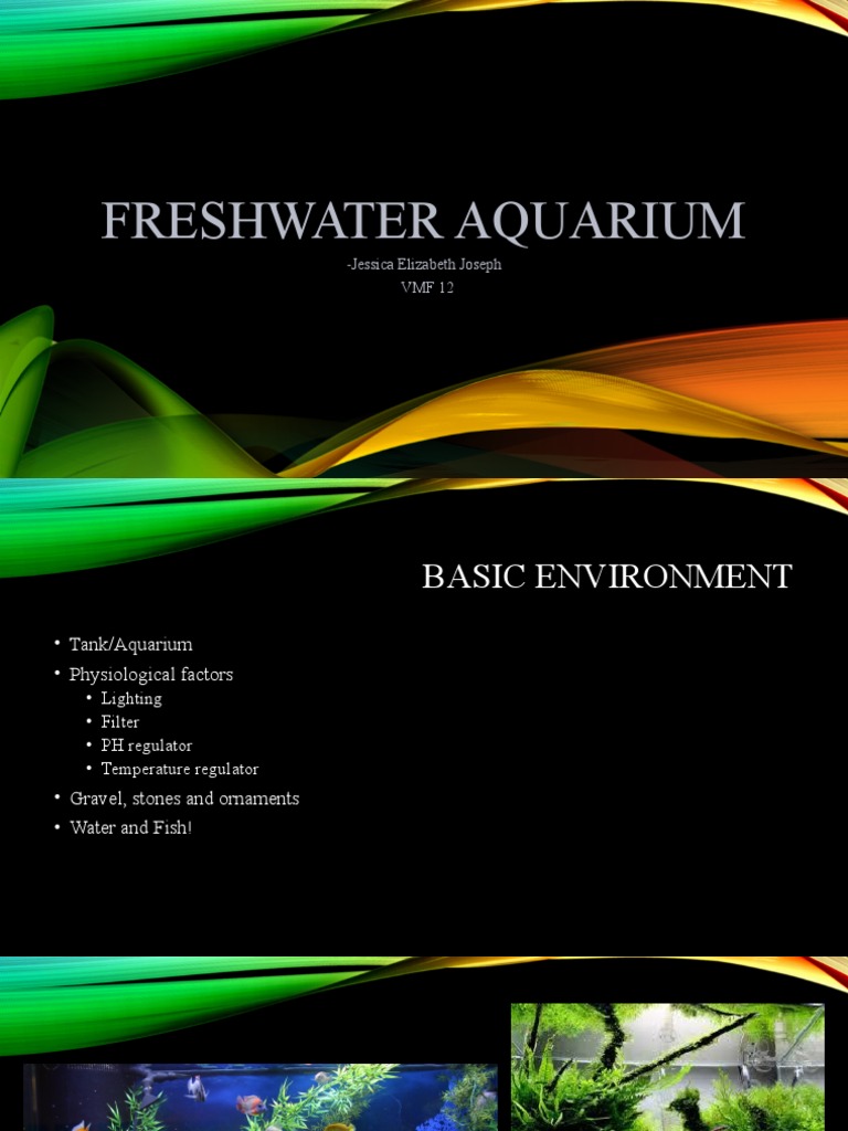 Freshwater Aquarium: - Jessica Elizabeth Joseph VMF 12 | PDF | Cooking ...