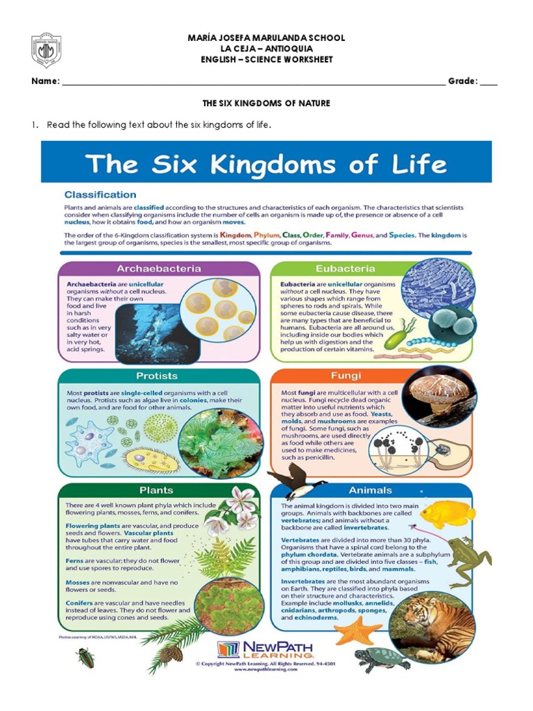 Read The Following Text About The Six Kingdoms of Life | PDF ...