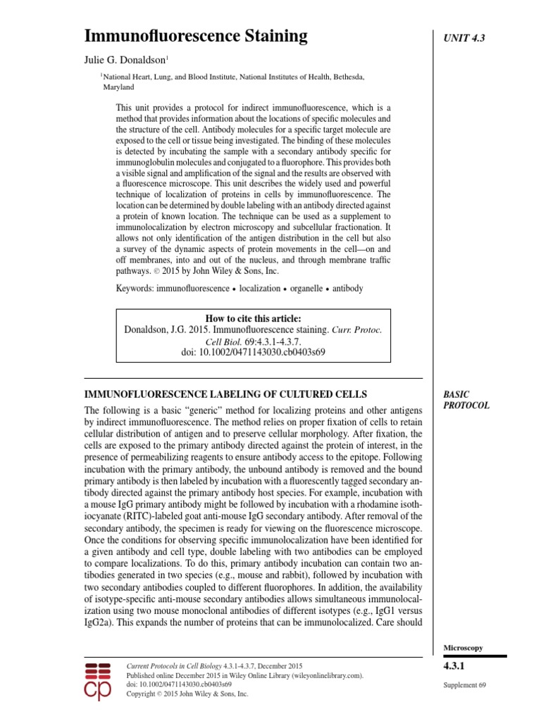 Immunofluorescence Staining | PDF | Immunofluorescence | Fixation ...