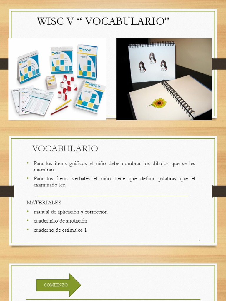 Wisc V - Vocabulario | PDF | Palabra | Conceptos psicologicos