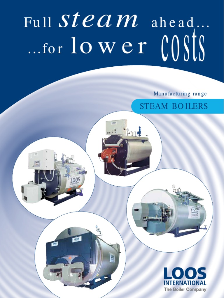LOOS International Steam Boiler Overview | PDF | Boiler | Steam