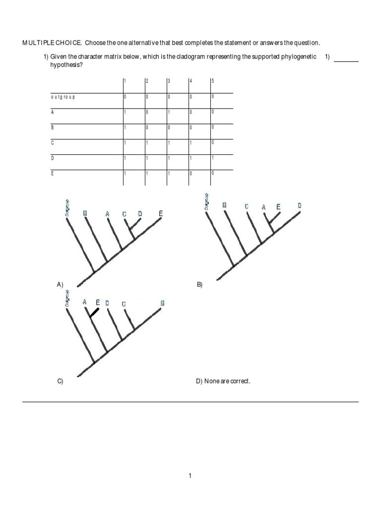 Phylogeny Practice Problems | PDF | Phylogenetic Tree | Mathematical And Theoretical Biology