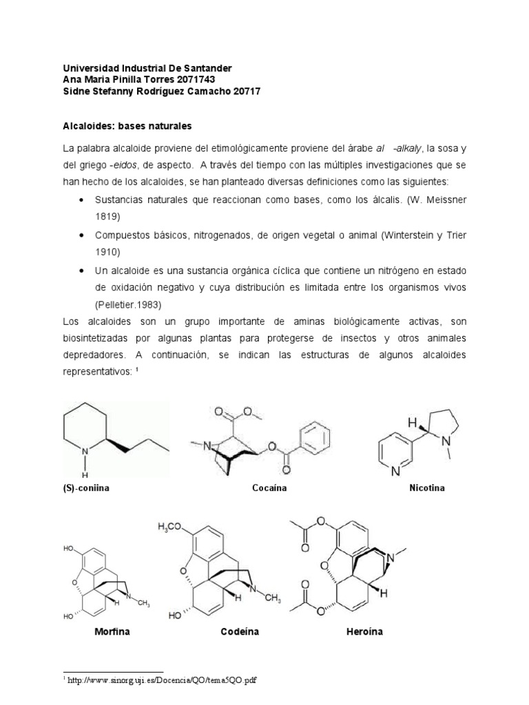 Alcaloides Bases Naturales | PDF | Alcaloide | Compuestos orgánicos