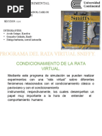 Plantilla Modelo Ecol Gico de Bronfenbrenner PDF | PDF