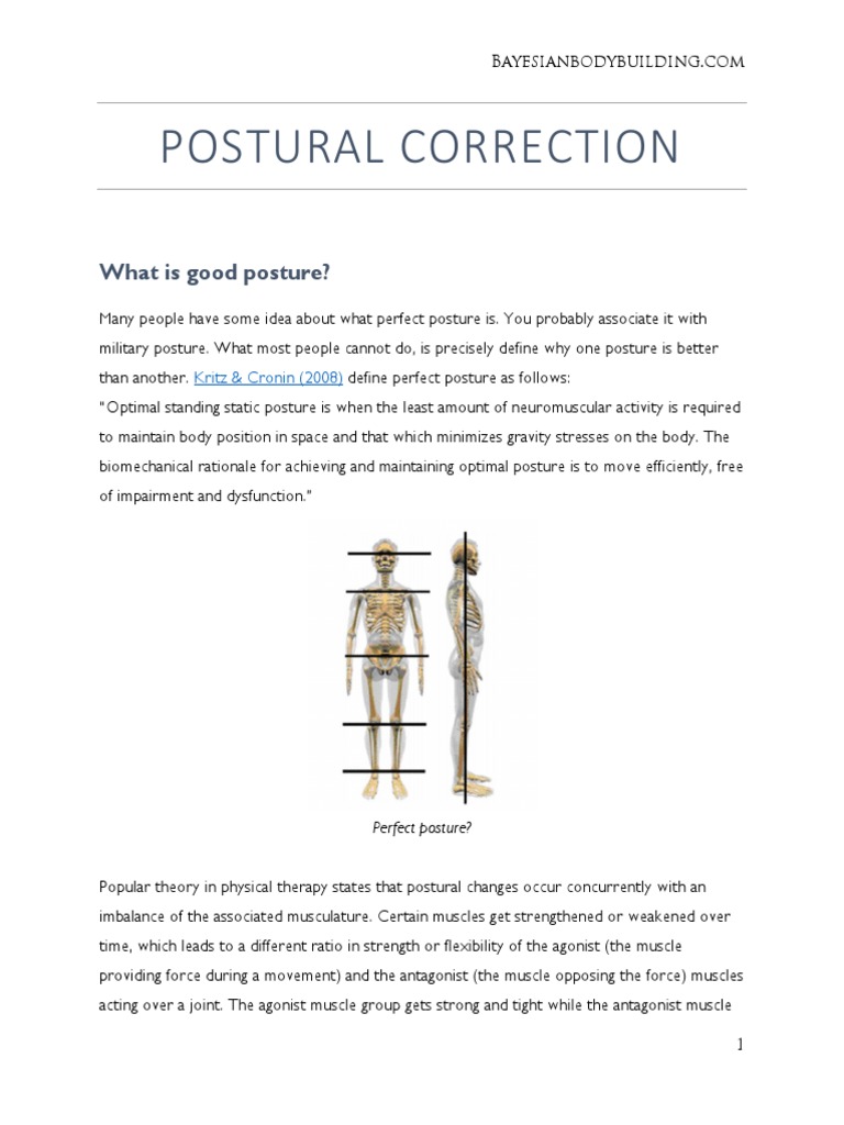 Postural Correction: What Is Good Posture? | PDF | Pelvis | Strength ...