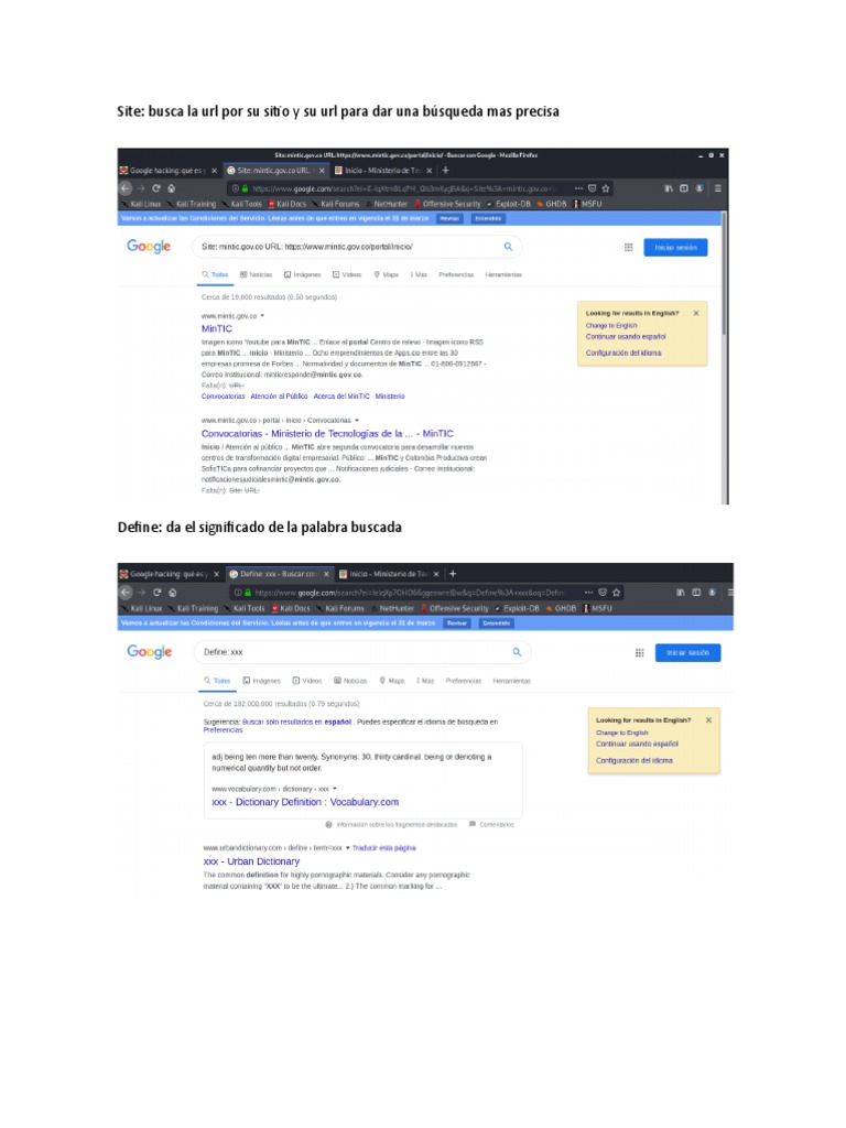 Comandos Google Hacking | PDF