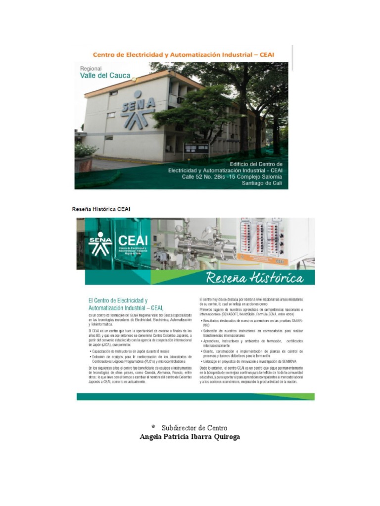 Sena Ceai | PDF | Economias | Science
