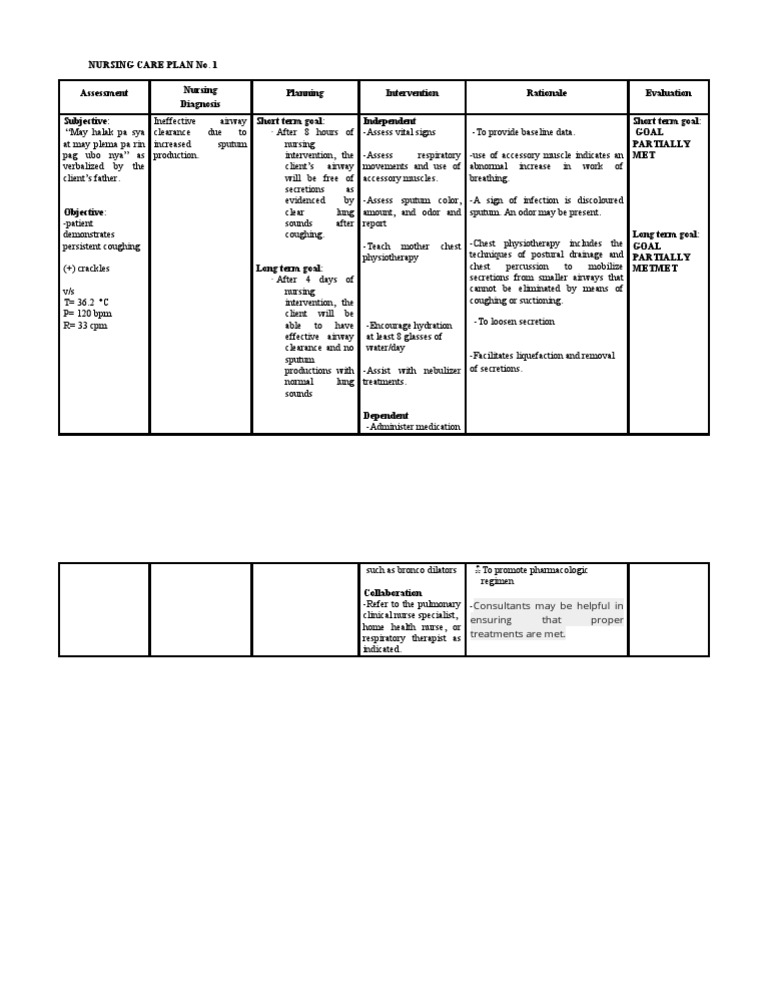 NCP Pcap | PDF | Respiratory Tract | Cough