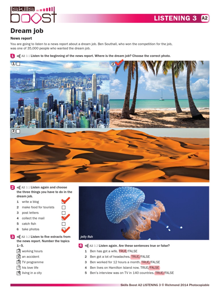 Dream Job: Listening 3 | PDF