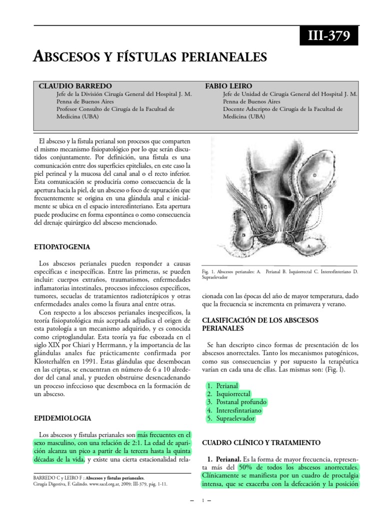 Abscesos Perianales | PDF | Especialidades Medicas | Enfermedades y ...