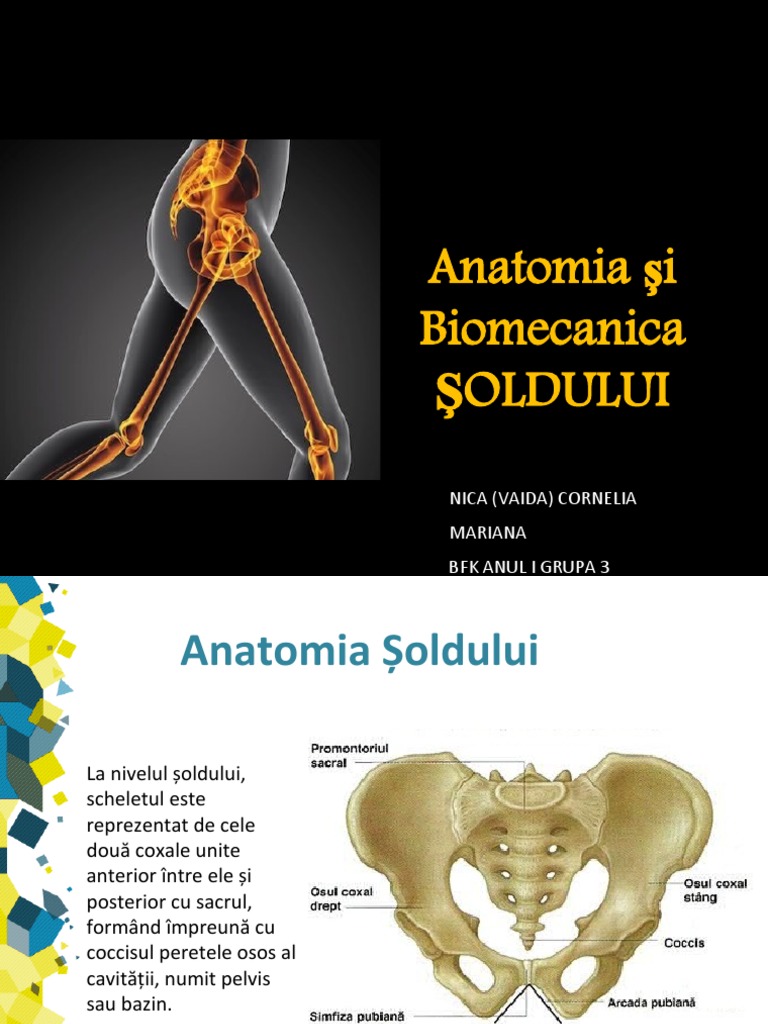Anatomia Si Biomecanica SOLDULUI | PDF