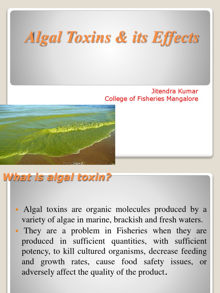 Algal Toxins & Its Effects: Jitendra Kumar College of Fisheries ...