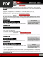 Athlean X BUILT For Size | PDF | Individual Sports | Weight Training