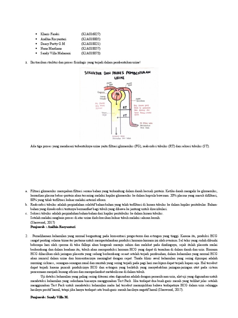Gol A2 Kelompok 3 | PDF