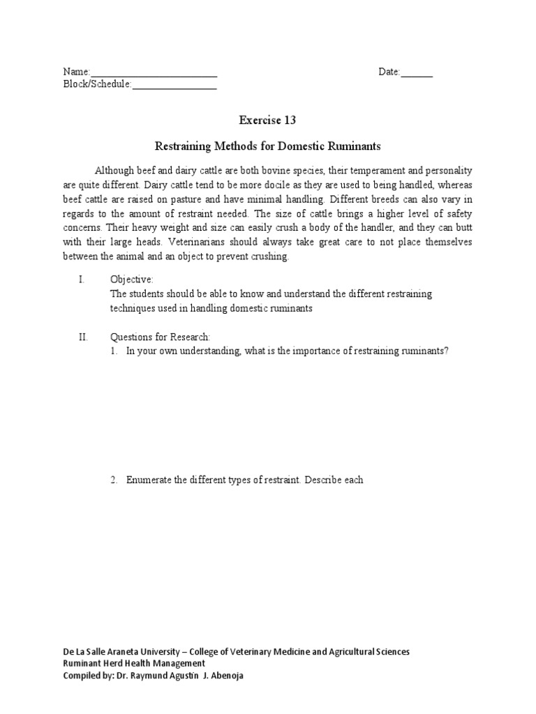 Restraining Techniques for Ruminants | PDF | Cattle | Dairy Cattle