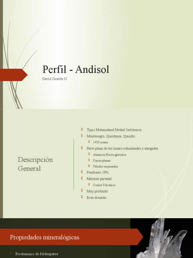 Perfil - Andisol | PDF
