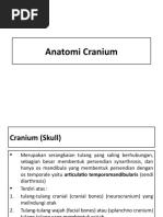 Anatomi Maksila & Mandibula | PDF