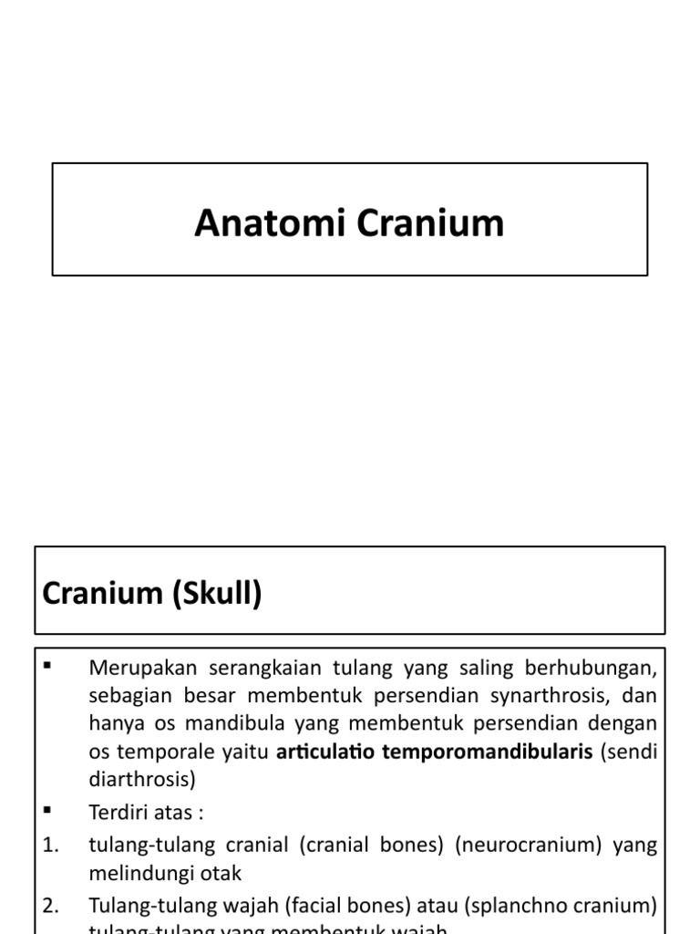 Anatomi Cranium: Tulang dan Struktur | PDF